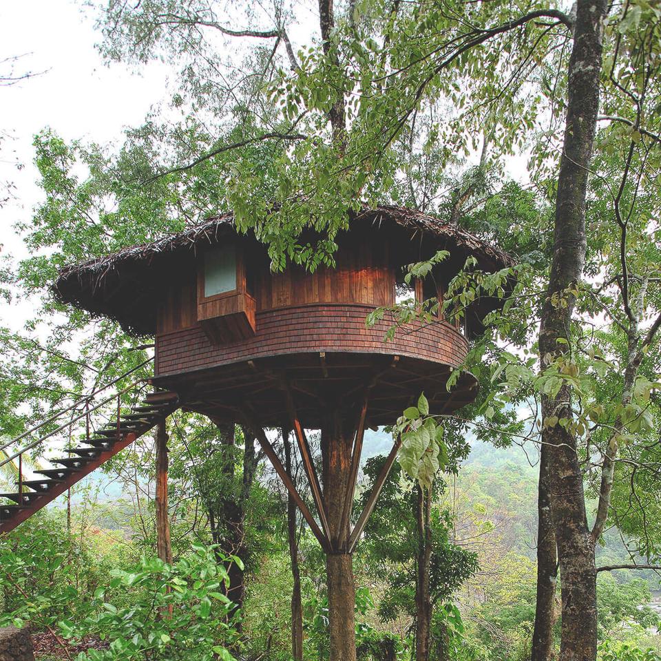 Romantic Tree Houses In India