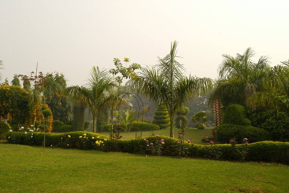 Surjivan Resorts - Venue - Sohna Road - Weddingwire.in