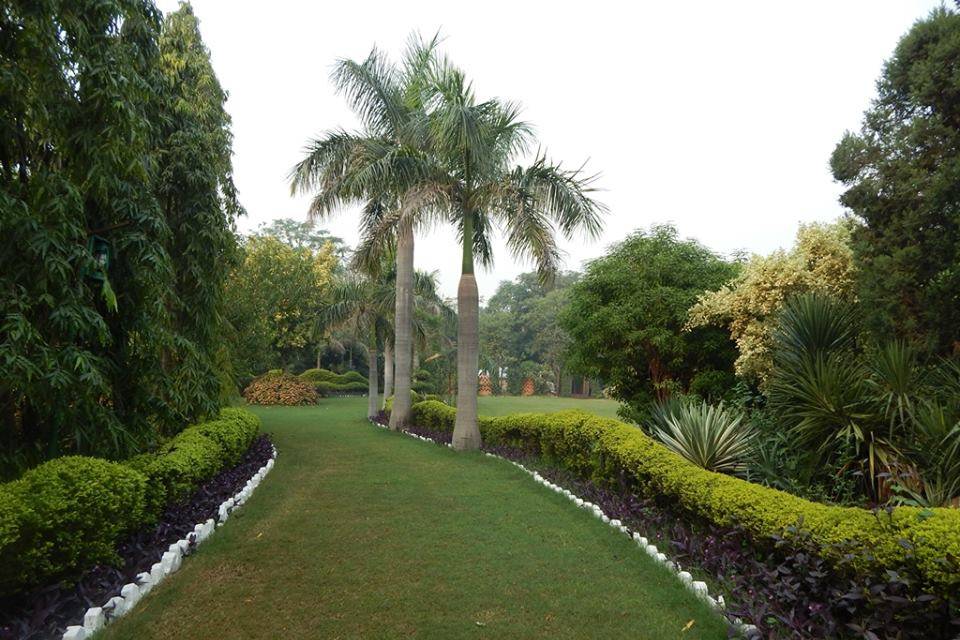 Surjivan Resorts - Venue - Sohna Road - Weddingwire.in