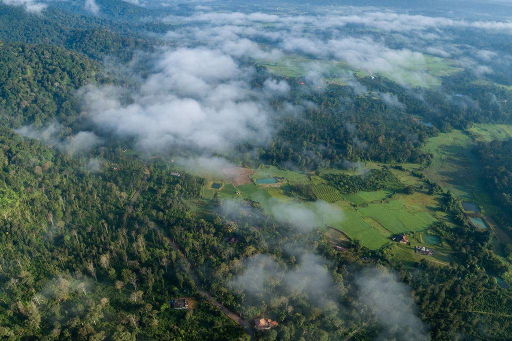 Amritara Ambatty Greens Resort, Coorg - Venue - Virajpet - Weddingwire.in