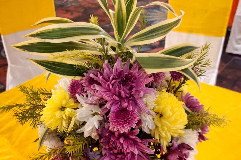 Divine Farms - Venue - Chattarpur - Weddingwire.in