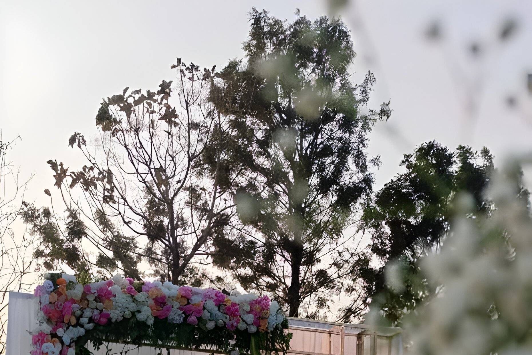 Magnolia by Jade - Venue - Kanakapura Road - Weddingwire.in