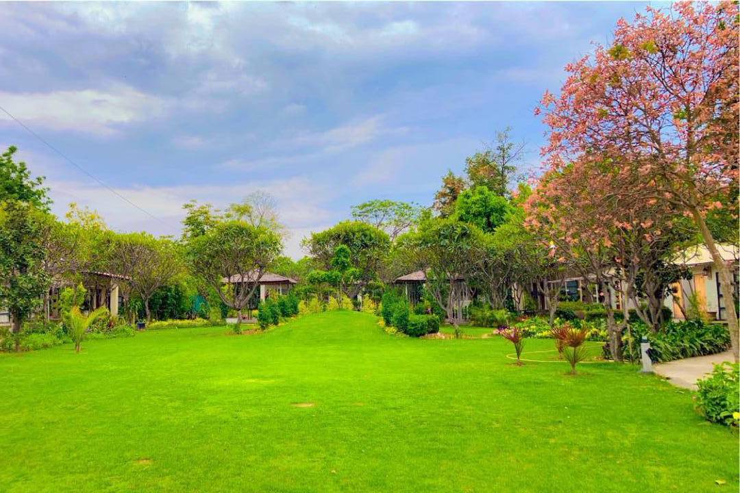 Botanix Nature Resort - Venue - Sohna Road - Weddingwire.in